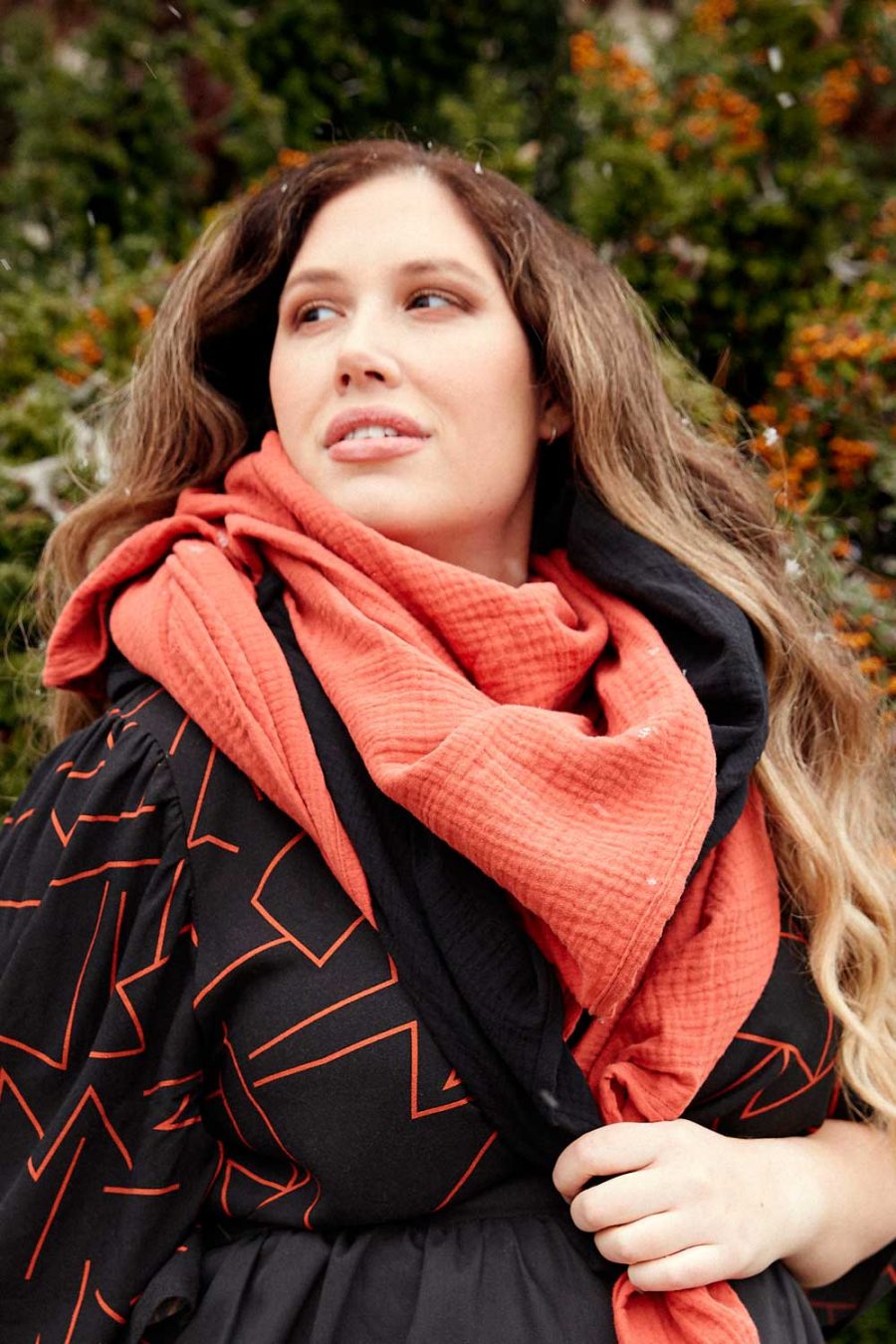 WiDDA Home • WiDDA